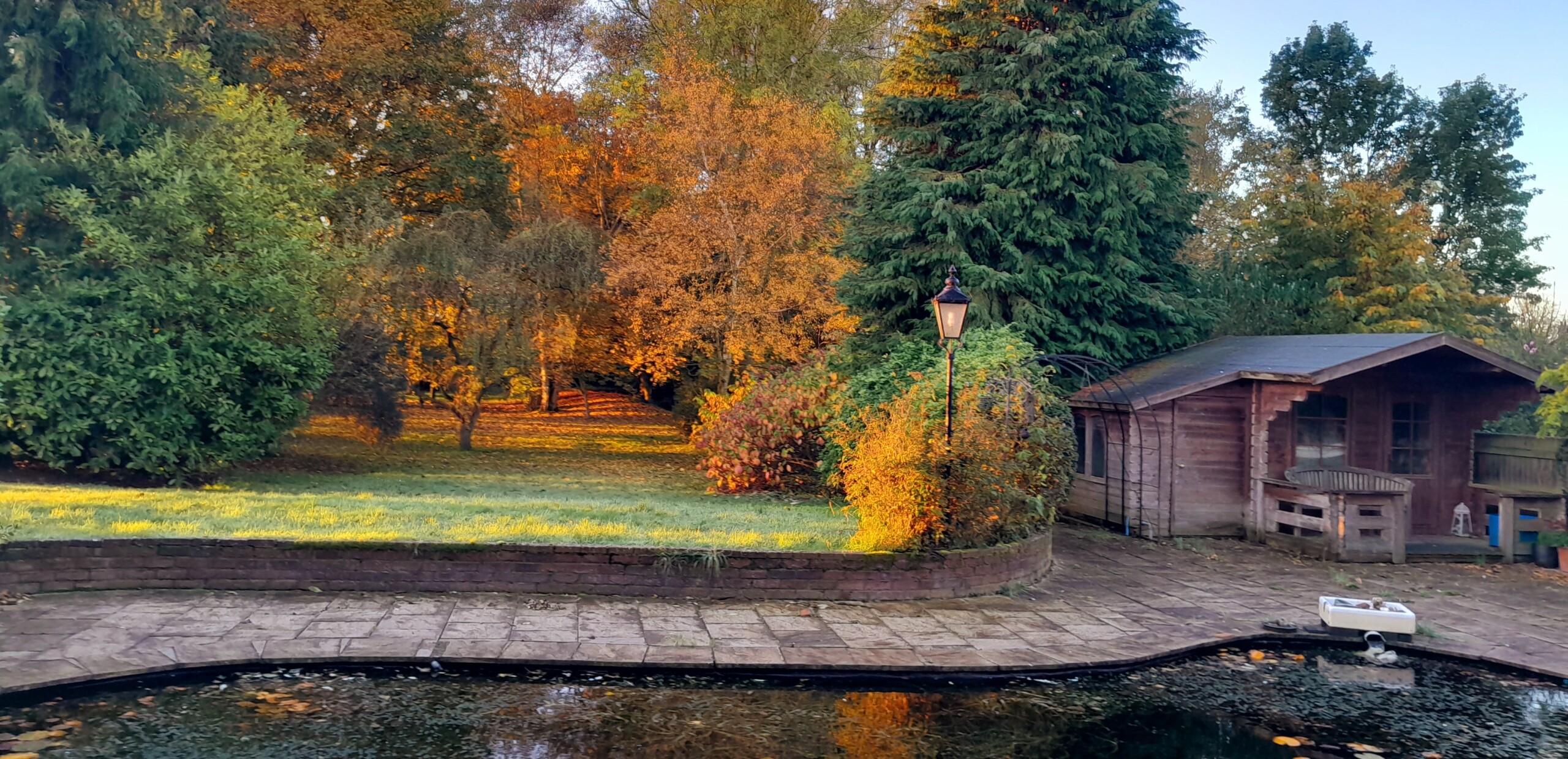 Spinney Cottage Studio – Spinney Cottage Studio